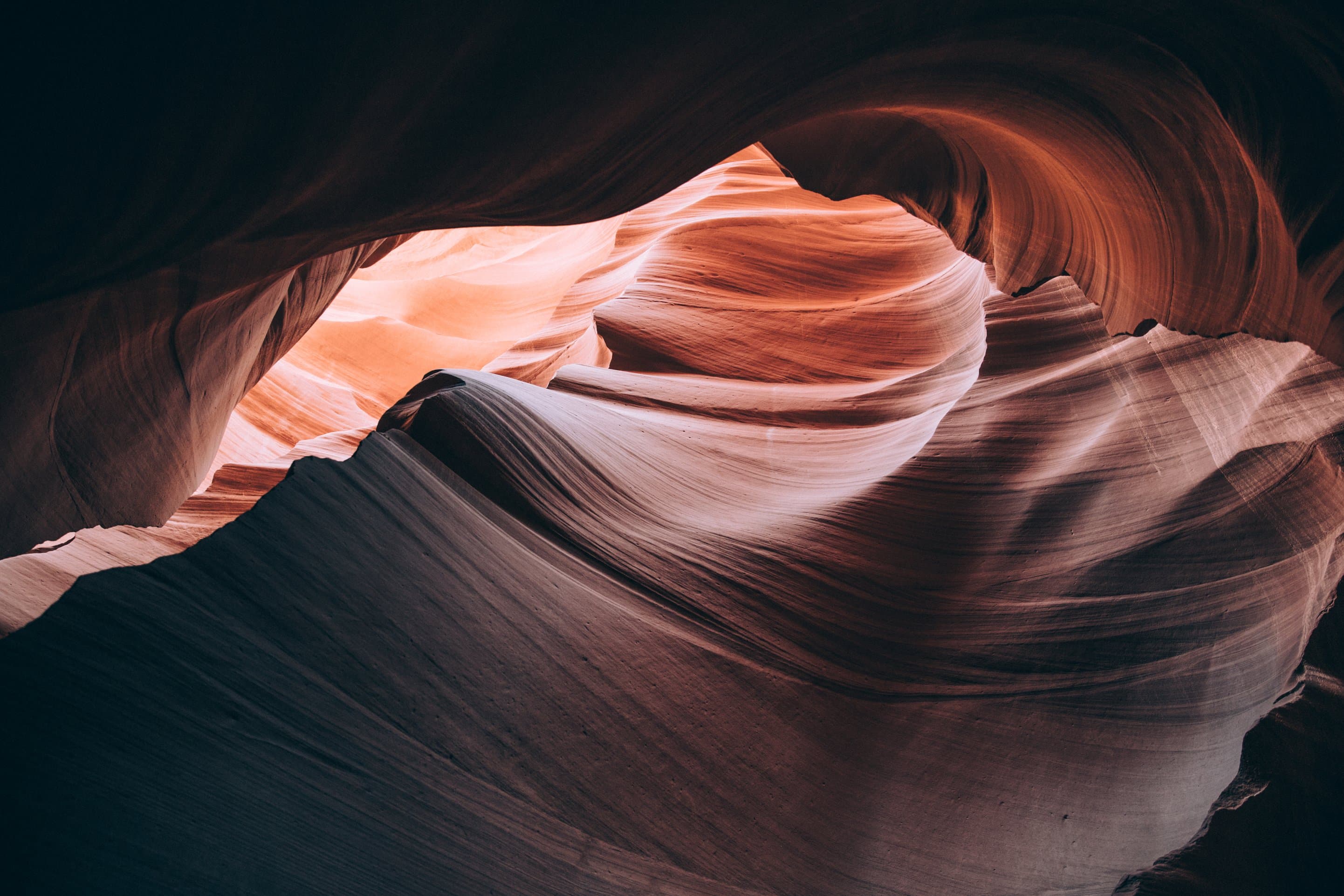 Free Stock Photos: High-Res Free Images for Websites & No Attribution ...
